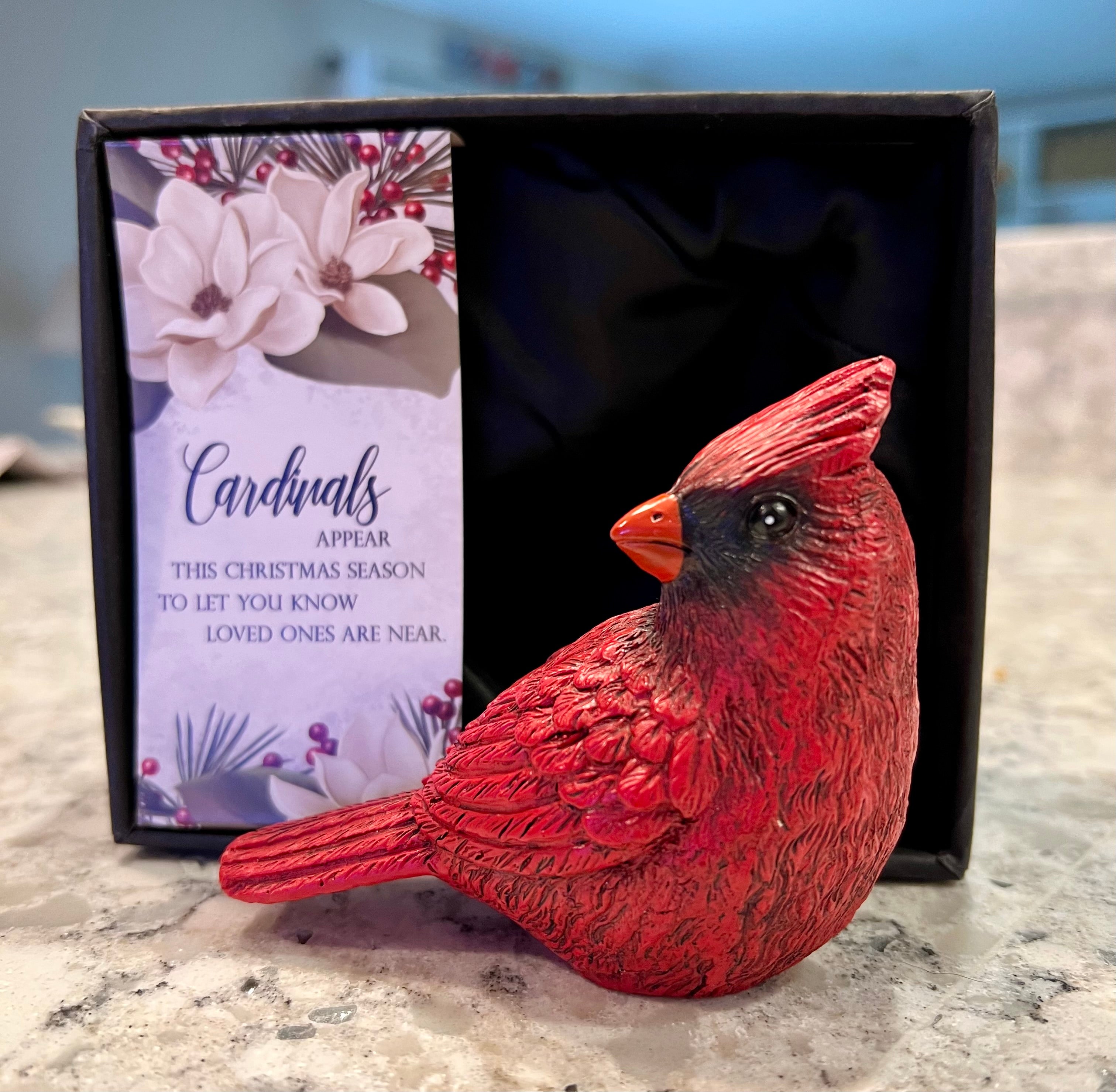 Cardinals Appear this Christmas Gift Boxed Cardinal – Celtic Cove ...