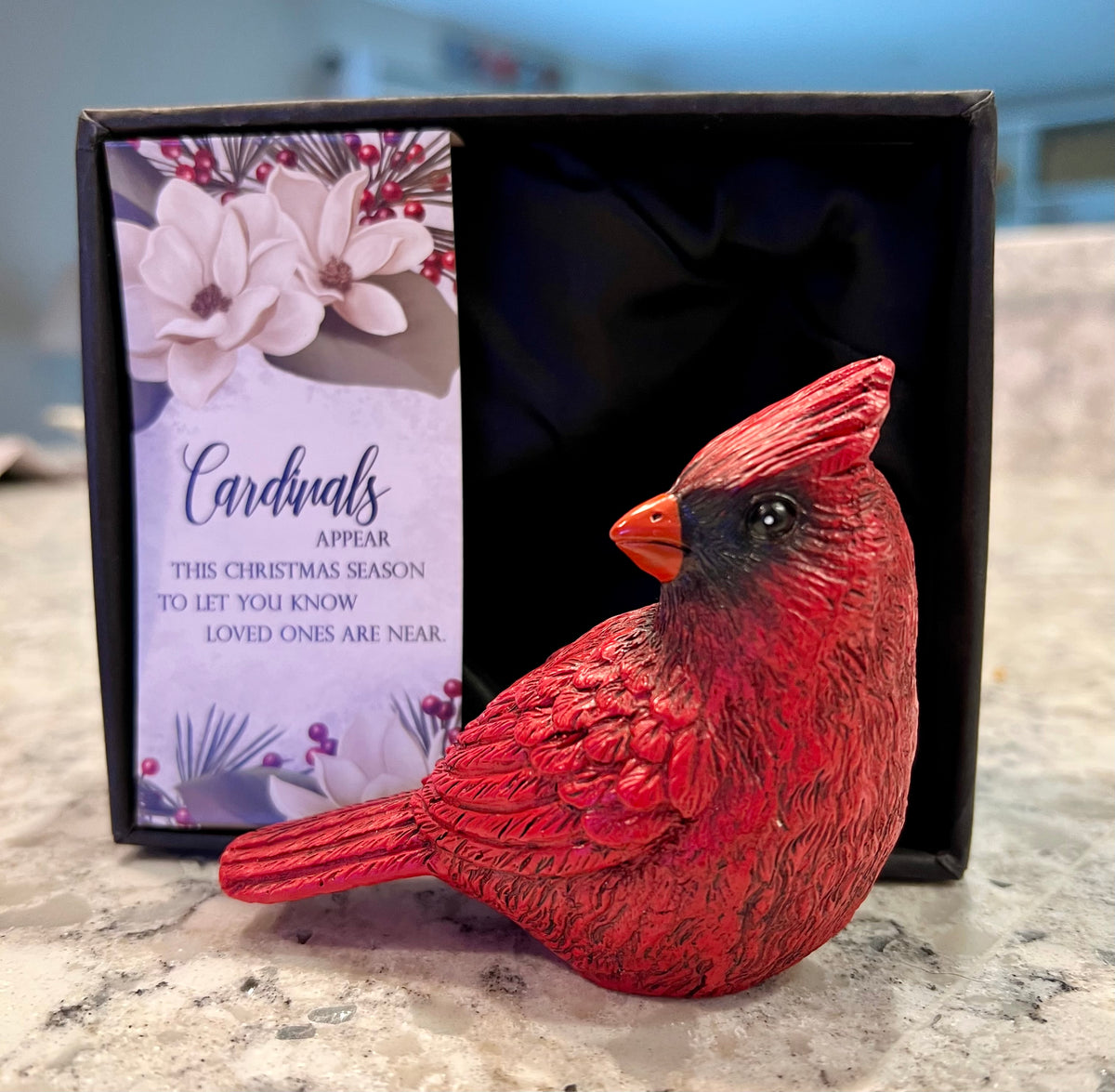 Cardinals Appear this Christmas Gift Boxed Cardinal – Celtic Cove ...